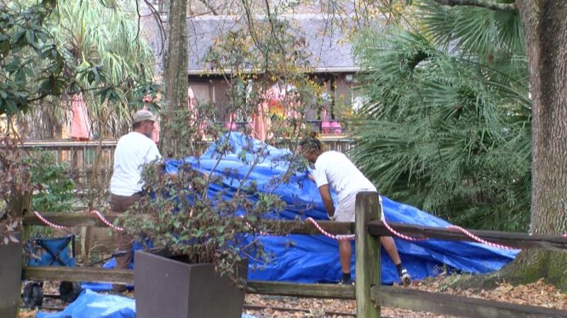 How the Hattiesburg Zoo stays safe during severe weather How the Hattiesburg Zoo stays safe during severe weather
