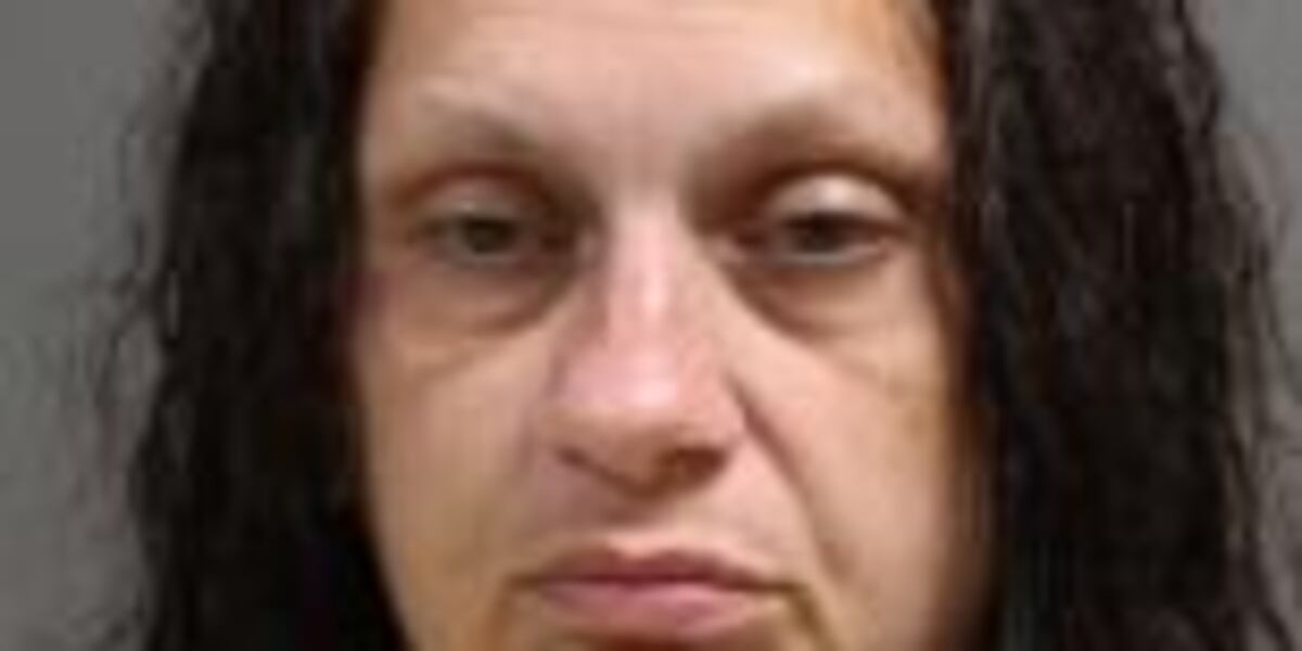 HPD seeks public’s help in finding commercial thief HPD seeks public’s help in finding commercial thief